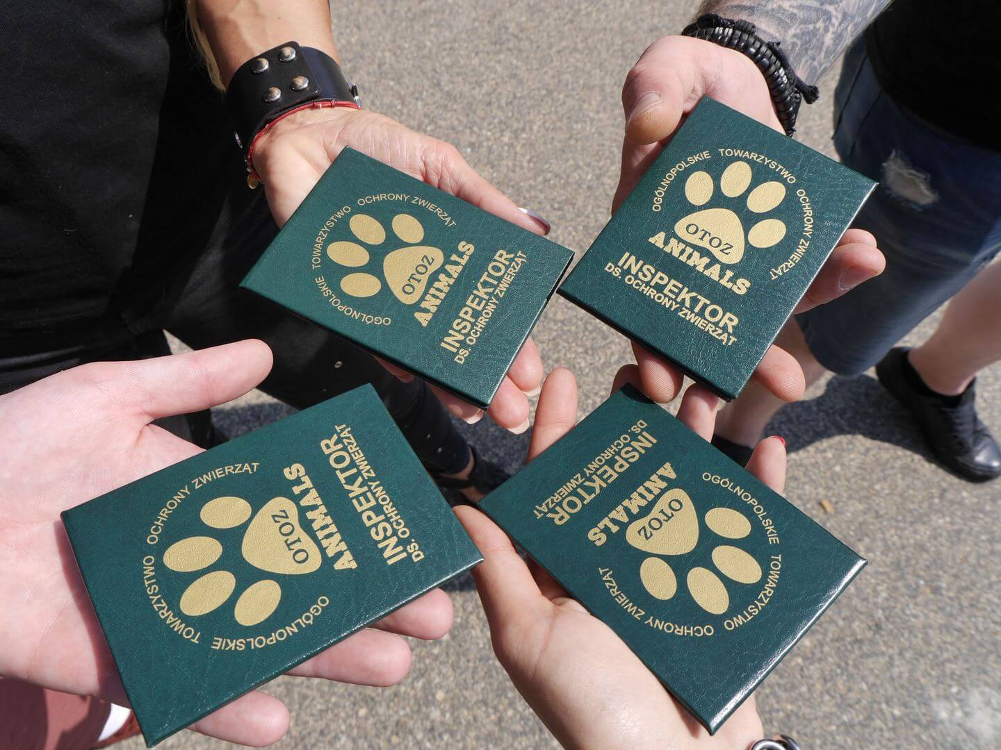Oficjalna strona miasta Jastrzębie-Zdrój - Inspektorat OTOZ Animals ...